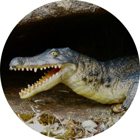 Animal Villain Figurines | Leading Children