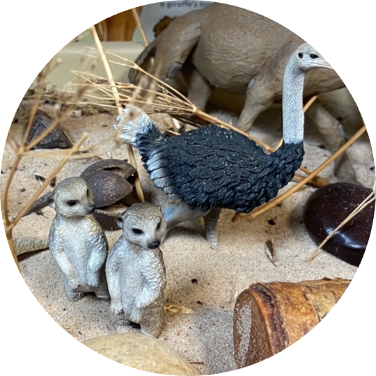 Desert Animal Figurines | Leading Children