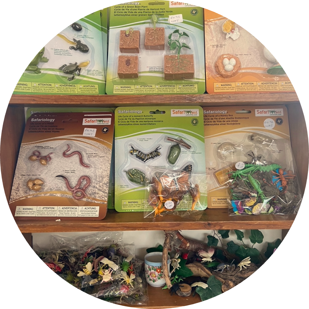 Science Collections | Leading Children