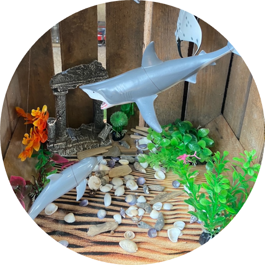 Under The Sea Collections | Leading Children