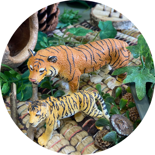 Small World Collections | Leading Children