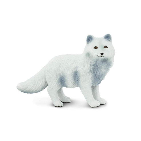 Arctic Fox – Leading Children